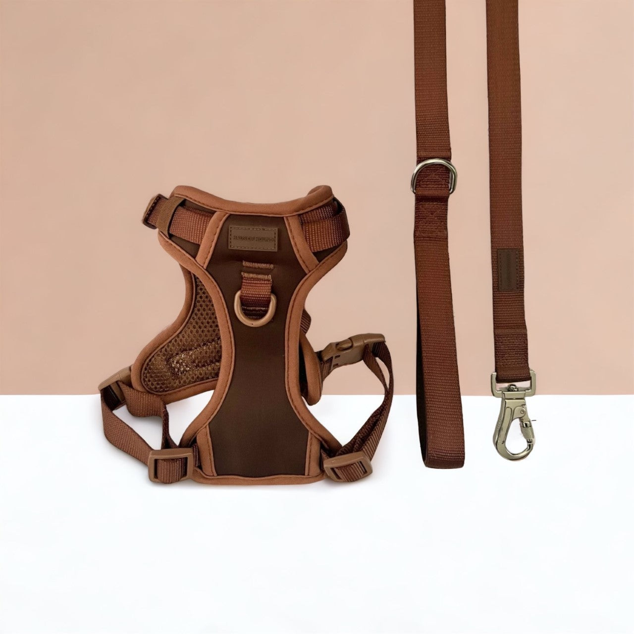 The Neutral Collection – Haus of Hound